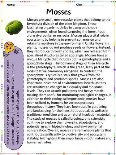 Exploring Mosses: Engaging Reading Passage with Thought-Provoking ...