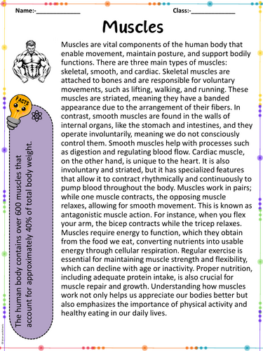 Explore Muscles: Engaging Reading Passage with Interactive Questions ...