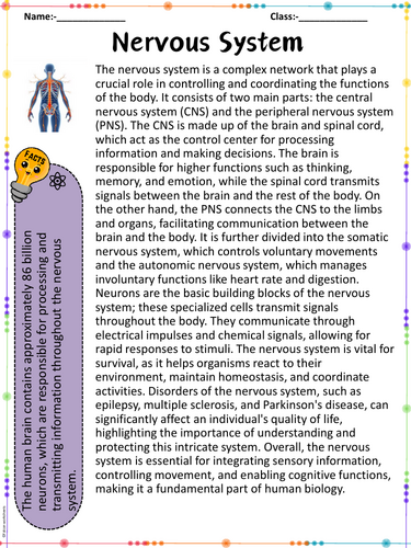 Understanding the Nervous System: Reading Material & Questions ...