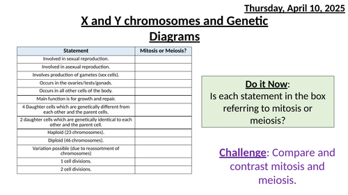 X and Y Chromosomes and Genetic Diagrams (AQA GCSE Biology) | Teaching ...