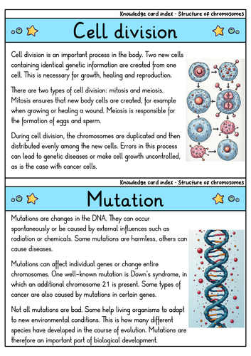 Structure of Chromosomes - Flashcards | Biology | DNA, Genes & Function ...