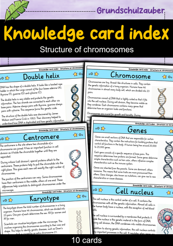 Structure of Chromosomes - Flashcards | Biology | DNA, Genes & Function ...