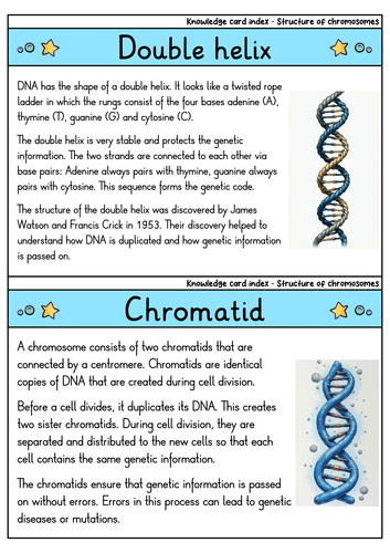 Structure of Chromosomes - Flashcards | Biology | DNA, Genes & Function ...