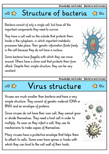 Bacteria and Viruses - Flashcards | Biology | Structure, Reproduction ...