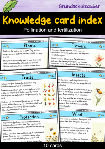 Pollination and Fertilization - Flashcards | Biology | Processes in ...