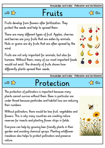 Pollination and Fertilization - Flashcards | Biology | Processes in ...