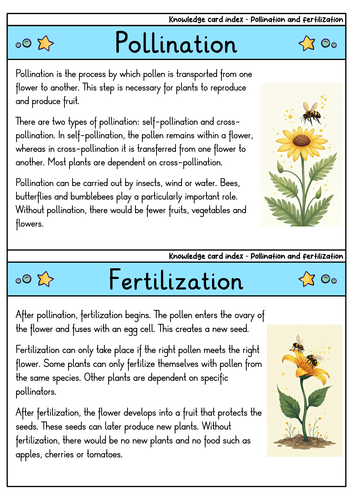 Pollination and Fertilization - Flashcards | Biology | Processes in ...
