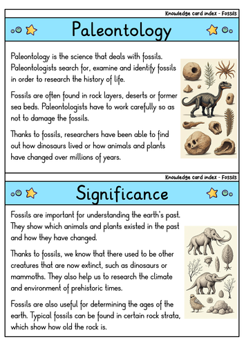 Fossils - Flashcards | Biology | Types, Formation & Importance ...