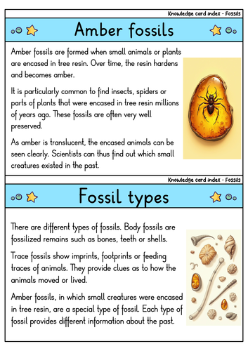 Fossils - Flashcards | Biology | Types, Formation & Importance ...