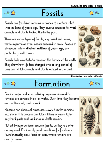Fossils - Flashcards | Biology | Types, Formation & Importance ...