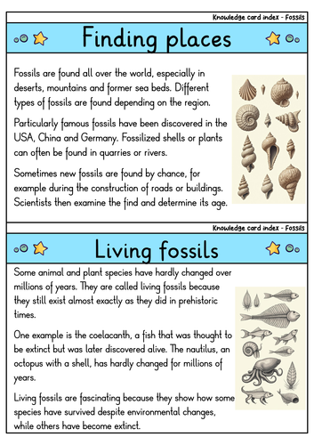 Fossils - Flashcards | Biology | Types, Formation & Importance ...