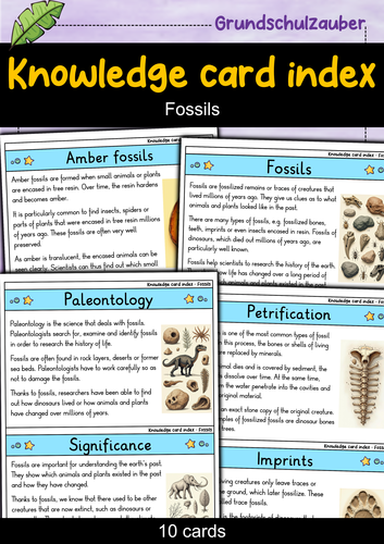 Fossils - Flashcards | Biology | Types, Formation & Importance ...