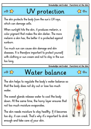Functions of the Skin - Flashcards | Biology | Protection, Regulation ...