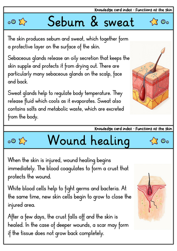 Functions of the Skin - Flashcards | Biology | Protection, Regulation ...