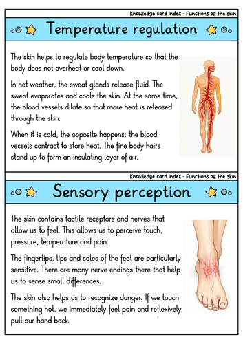Functions of the Skin - Flashcards | Biology | Protection, Regulation ...