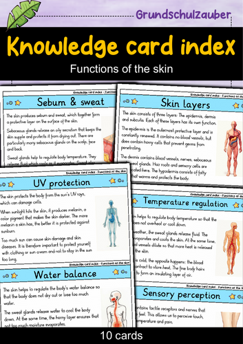 Functions of the Skin - Flashcards | Biology | Protection, Regulation ...