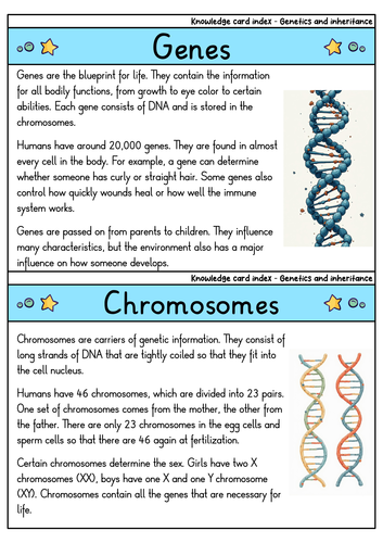 Genetics and Heredity - Flashcards | Biology | Genes, DNA & Inheritance ...