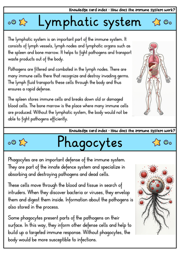 How the Immune System Works – Flashcards | Biology | Defense Mechanisms ...
