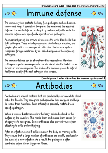 How the Immune System Works – Flashcards | Biology | Defense Mechanisms ...