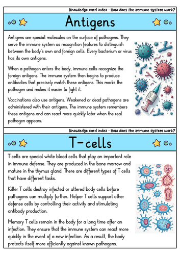 How the Immune System Works – Flashcards | Biology | Defense Mechanisms ...