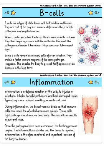 How the Immune System Works – Flashcards | Biology | Defense Mechanisms ...