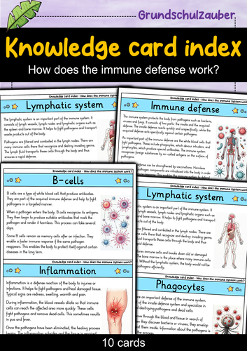 How the Immune System Works – Flashcards | Biology | Defense Mechanisms ...