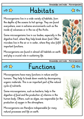 Microorganisms - Flashcards | Biology | Types, Functions & Importance ...