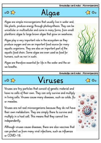 Microorganisms - Flashcards | Biology | Types, Functions & Importance ...