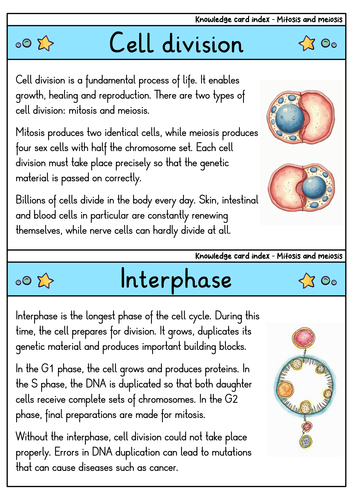 Mitosis (Cell Cycle) and Meiosis - Flashcards | Biology | Cell Division ...