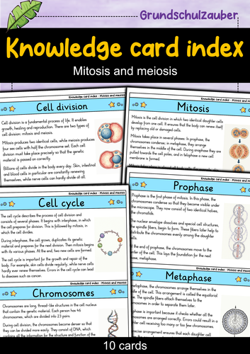 Mitosis (Cell Cycle) and Meiosis - Flashcards | Biology | Cell Division ...