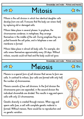 Mitosis (Cell Cycle) and Meiosis - Flashcards | Biology | Cell Division ...