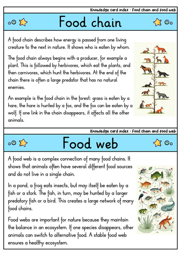 Food Chain and Food Web - Flashcards | Biology | Energy Flow ...