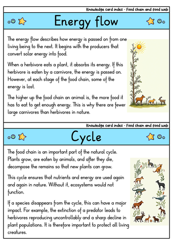 Food Chain and Food Web - Flashcards | Biology | Energy Flow ...