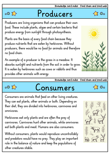 Food Chain and Food Web - Flashcards | Biology | Energy Flow ...