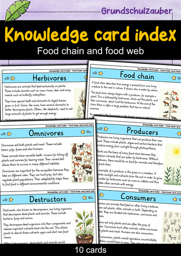 Food Chain and Food Web - Flashcards | Biology | Energy Flow ...