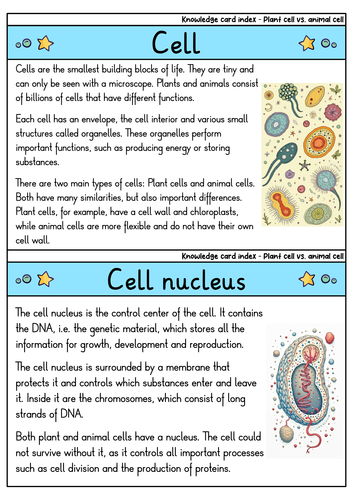 Plant Cell vs. Animal Cell - Flashcards | Biology | Structure & Functions | Teaching Resources