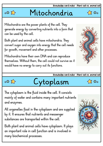 Plant Cell vs. Animal Cell - Flashcards | Biology | Structure & Functions | Teaching Resources