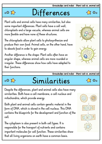 Plant Cell vs. Animal Cell - Flashcards | Biology | Structure ...