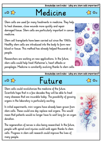 Why Stem Cells Are Important - Flashcards | Biology | Functions ...
