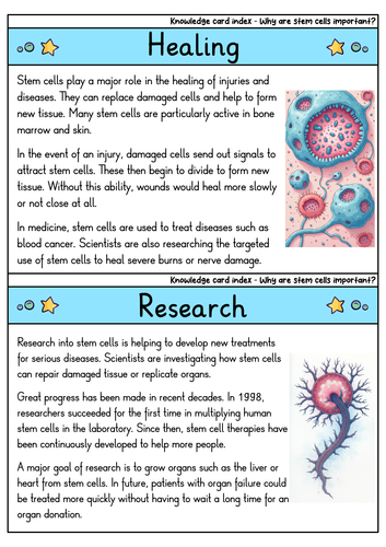 Why Stem Cells Are Important Flashcards Biology Functions