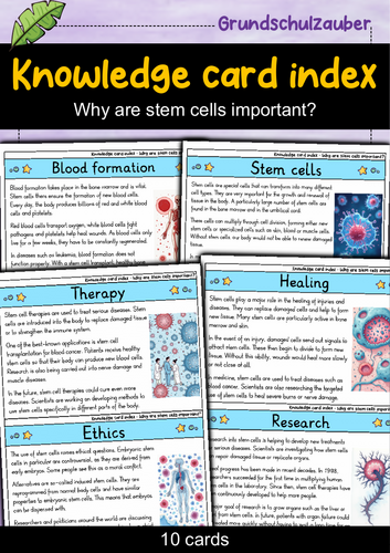 Why Stem Cells Are Important Flashcards Biology Functions