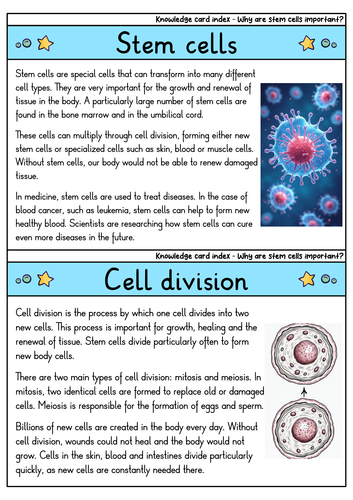 Why Stem Cells Are Important Flashcards Biology Functions