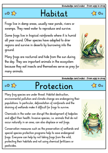From Egg to Frog - Flashcards | Biology | Life Cycle & Metamorphosis ...