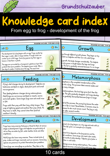 From Egg to Frog - Flashcards | Biology | Life Cycle & Metamorphosis ...