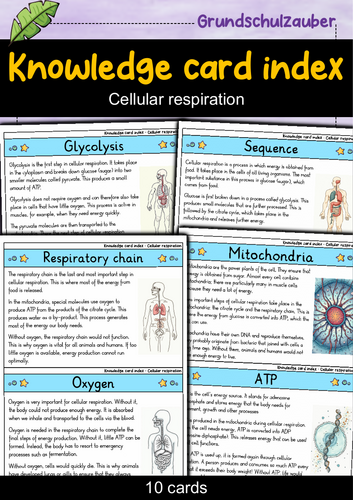 Cellular Respiration - Flashcards | Biology | Processes, Stages ...
