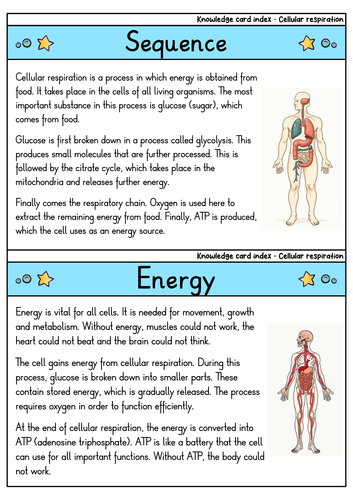 Cellular Respiration - Flashcards | Biology | Processes, Stages ...
