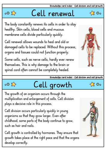 Cell Division - Flashcards | Biology | Mitosis & Meiosis | Teaching ...
