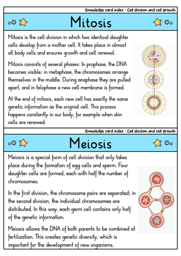 Cell Division - Flashcards | Biology | Mitosis & Meiosis | Teaching ...