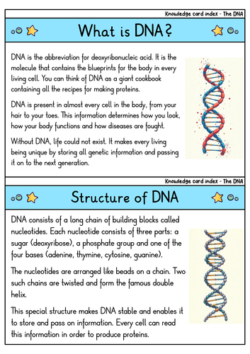 DNA - Flashcards | Biology | Structure, Function & Genetic Information ...