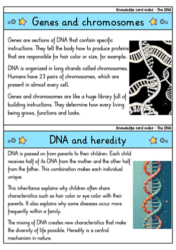 DNA - Flashcards | Biology | Structure, Function & Genetic Information ...